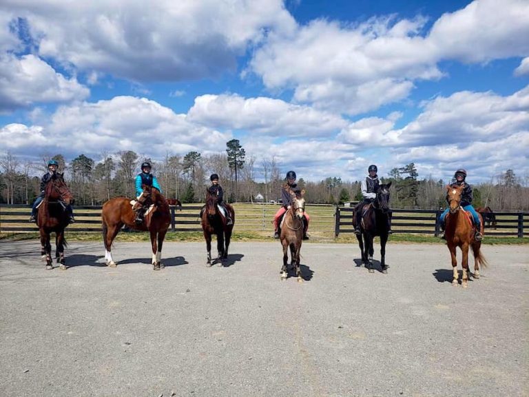 Equestrian Horseback Programs for Kids to Adult - All Levels