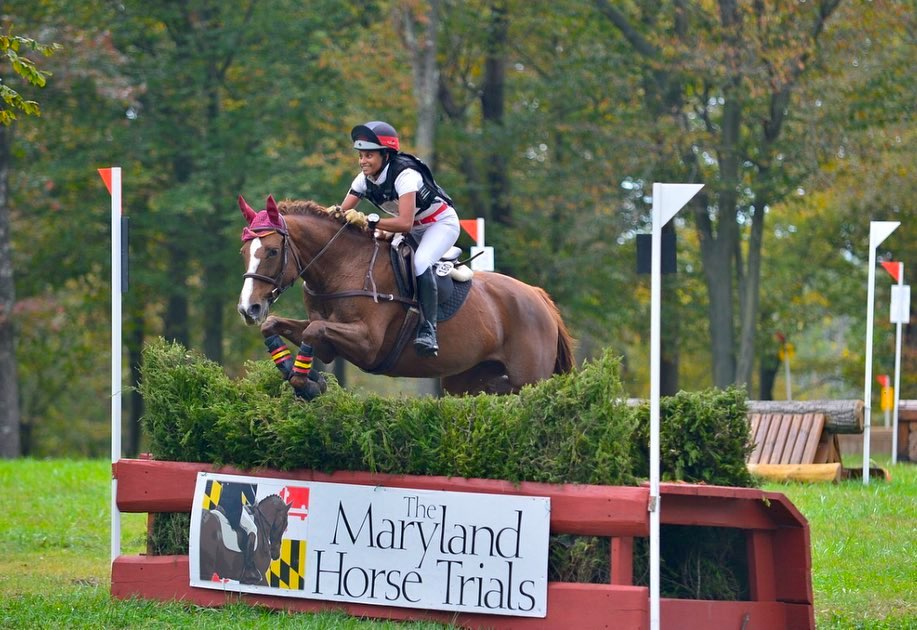 Equestrian Horseback Programs for Kids to Adult - All Levels