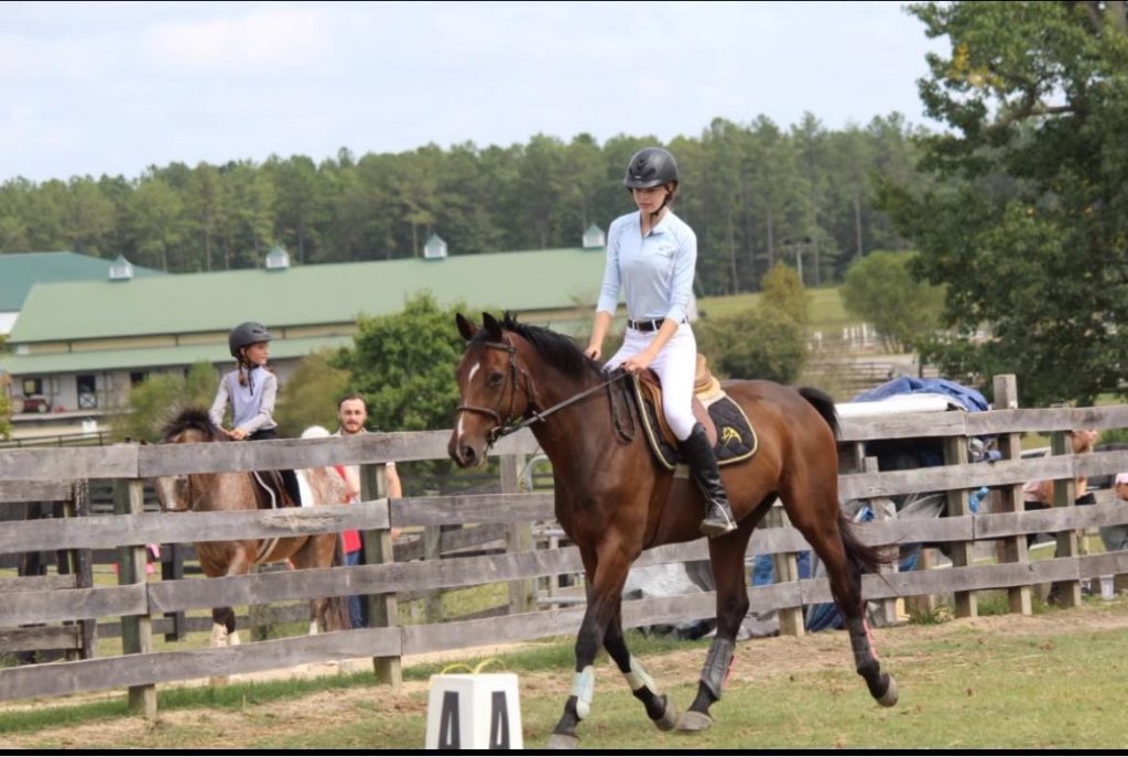 Equestrian Horseback Programs for Kids to Adult - All Levels
