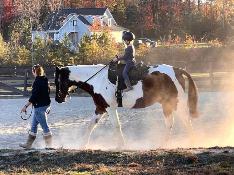 Redbird Spring Pony Camp Landing Page - Redbird Equestrian